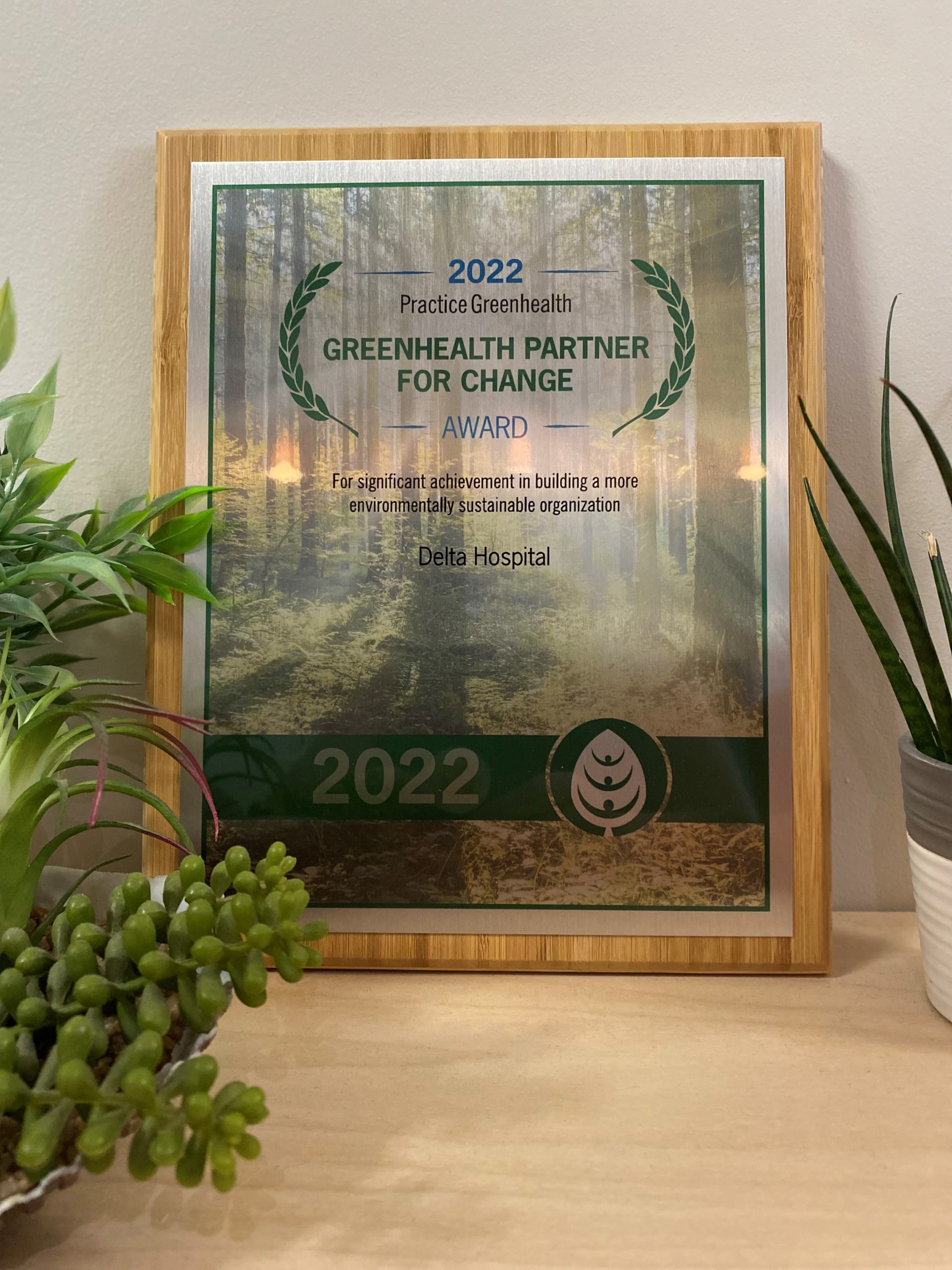 Delta Hospital wins prestigious environmental sustainability award ...