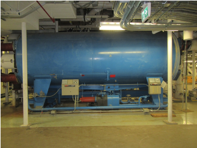 From Blue Whale to Green Future - Green Care